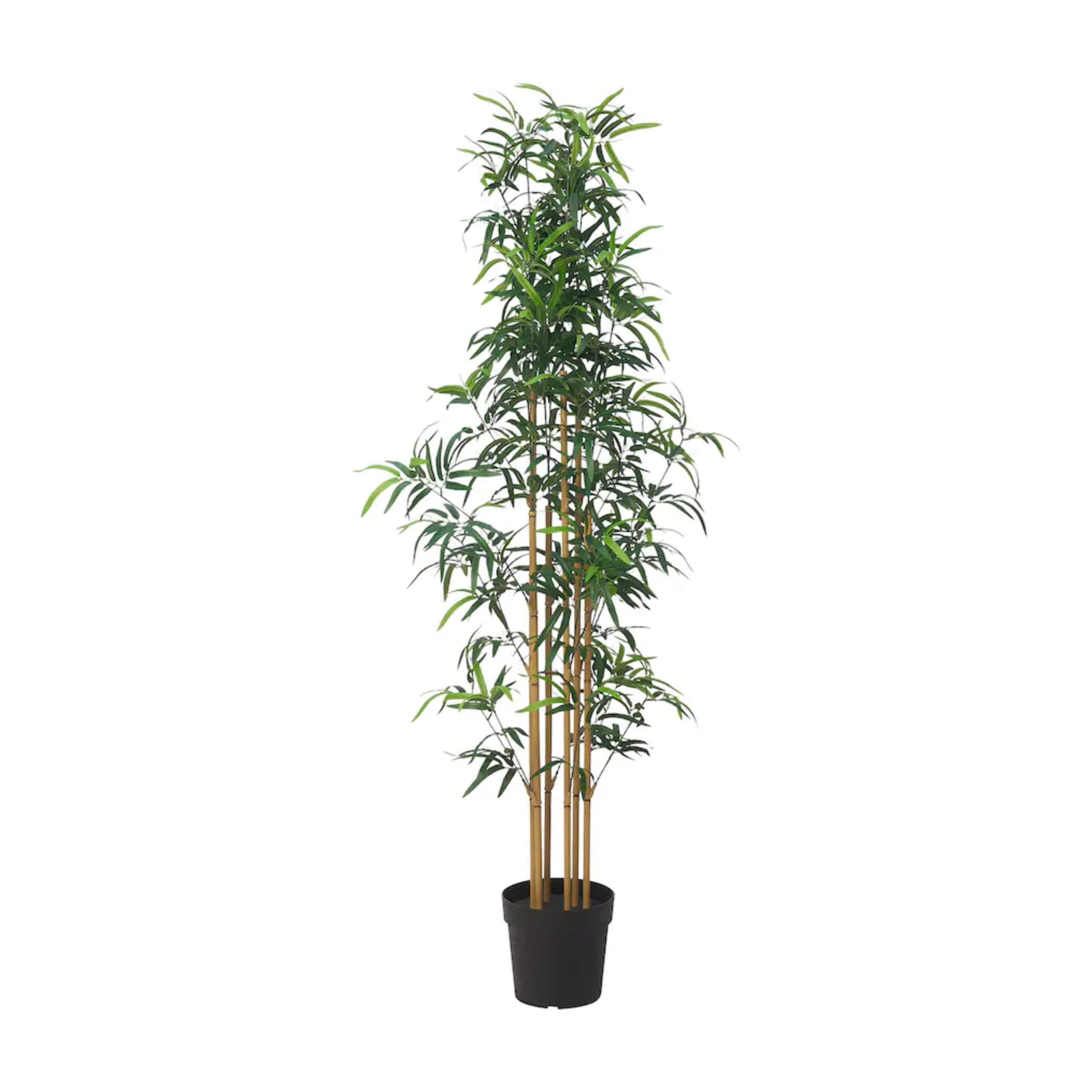 Fejka Artificial Plant (IK-20568893) - Allora Pan Home